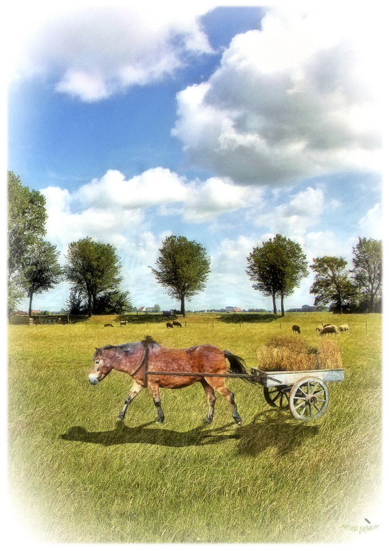 Fernweh Foto & Bild | spezial, composing, digiart Bilder auf fotocommunity