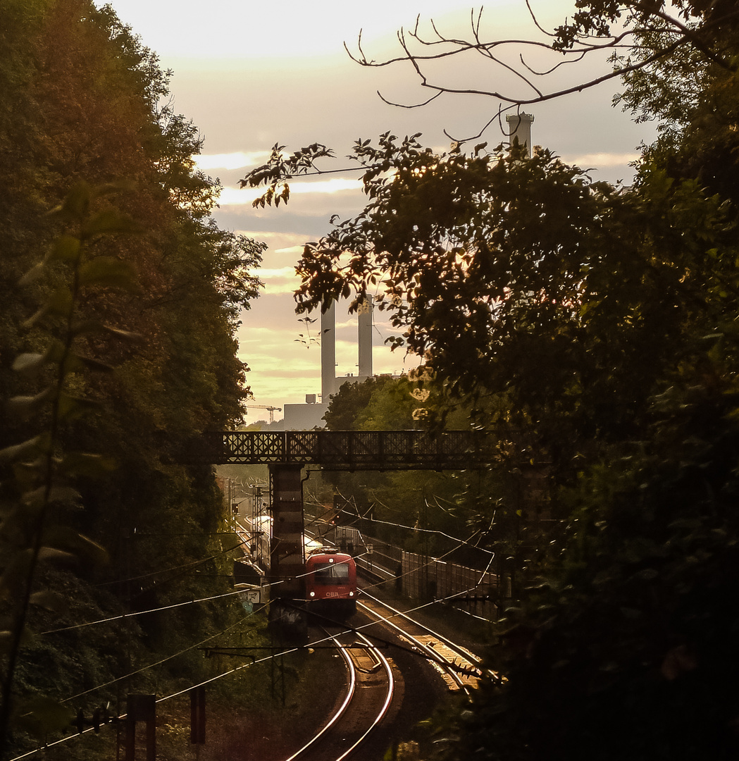 Fernweh Foto & Bild | münchen, bäume, schienen Bilder auf fotocommunity