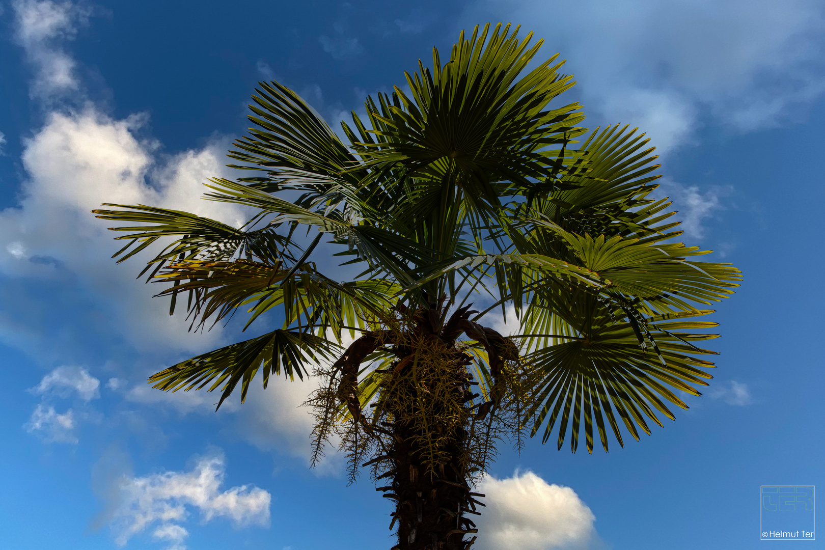 Fernweh Foto & Bild | urlaub, park, sommer Bilder auf fotocommunity