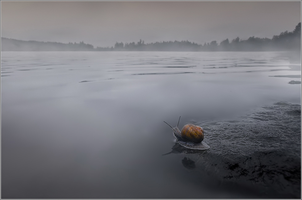 « Fernweh... » Foto & Bild | spezial, emotionen, galeriebilder Bilder ...