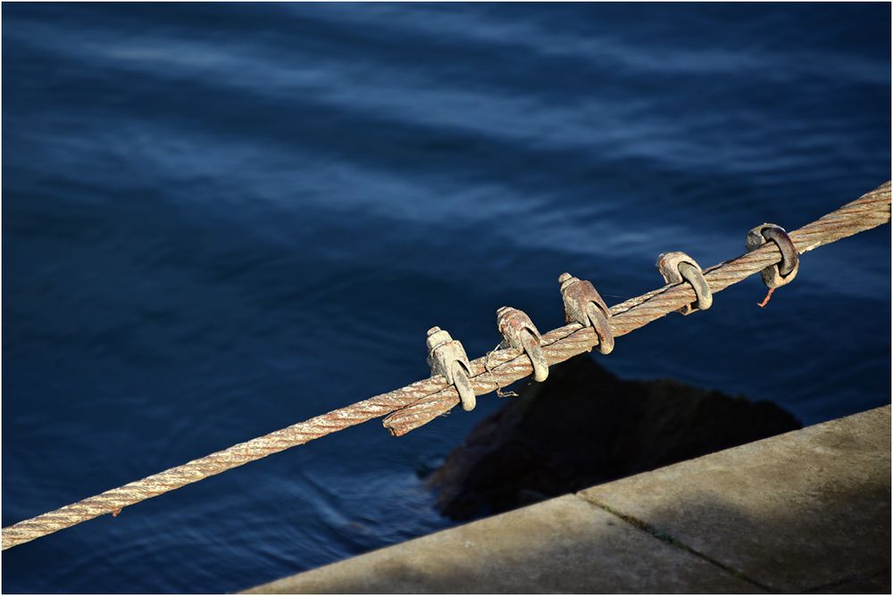 fest verbunden Foto & Bild | emotionen, vertrauen, allerlei Bilder auf ...