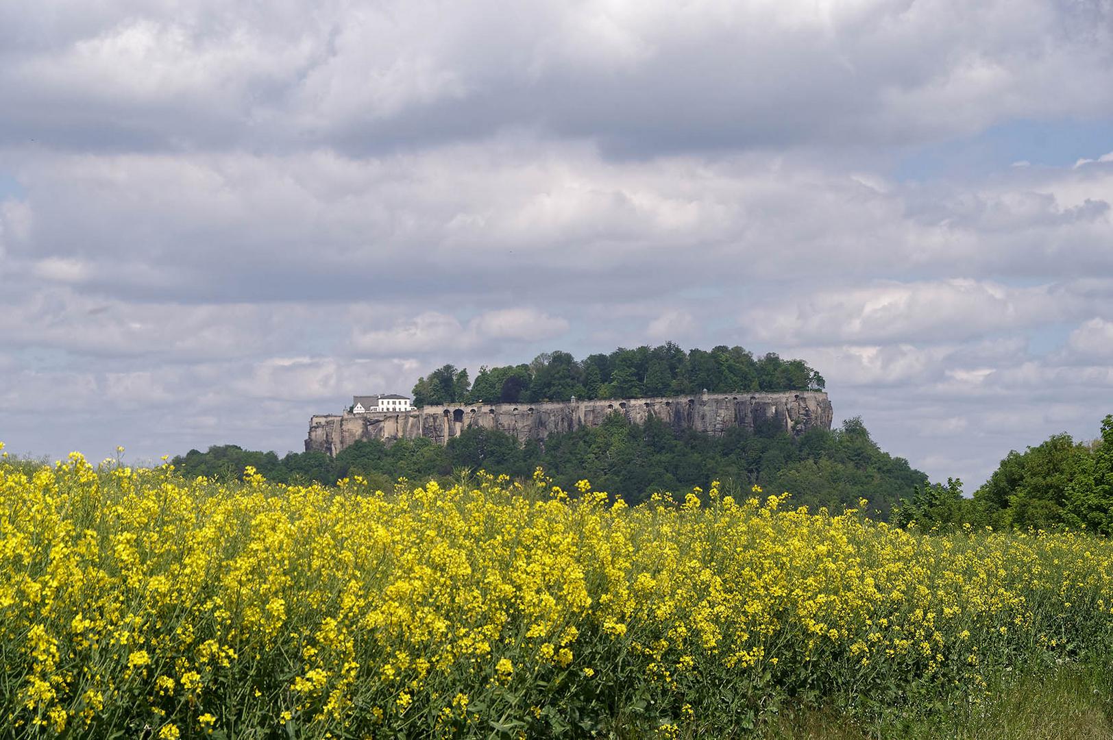 Festung Königstein Foto & Bild | landschaft, berge, Äcker, felder ...