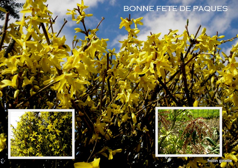 FETE DE PAQUES photo et image | nature Images fotocommunity