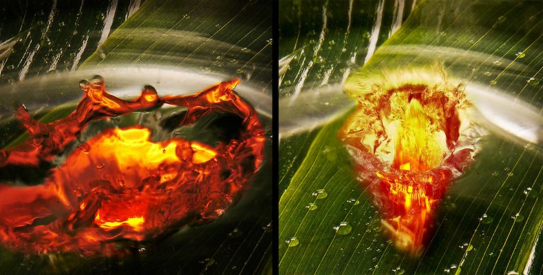 Vito Fanelli - Fotos & Bilder - Fotograf aus Wertheim, Deutschland ...