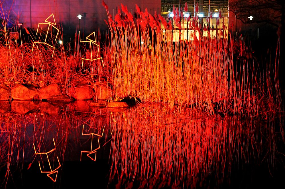 Feuerrot Foto & Bild | fotos, park, rot Bilder auf fotocommunity