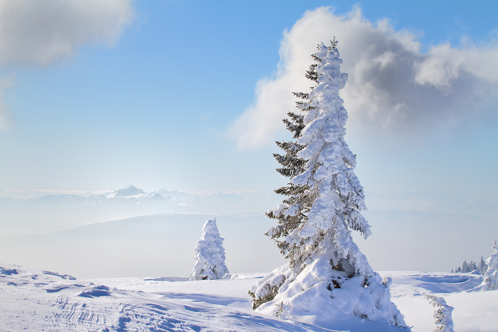 Février.............. photo et image | france, nature, white Images ...