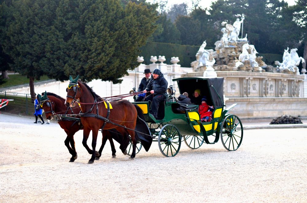 Fiaker in Schönbrunn Foto & Bild | europe, Österreich, wien Bilder auf ...