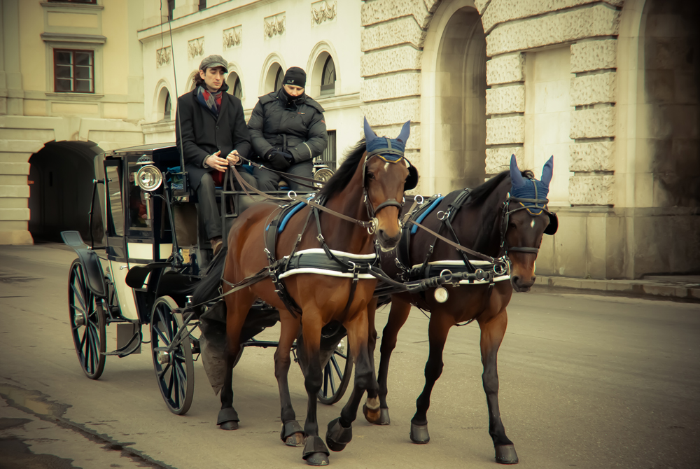 Fiaker in Wien .... Foto & Bild | europe, Österreich, wien Bilder auf ...