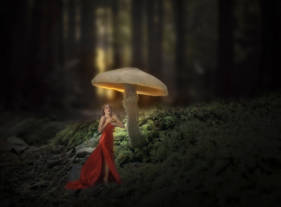 Fidelma. photo et image | digiart, scènes Images fotocommunity