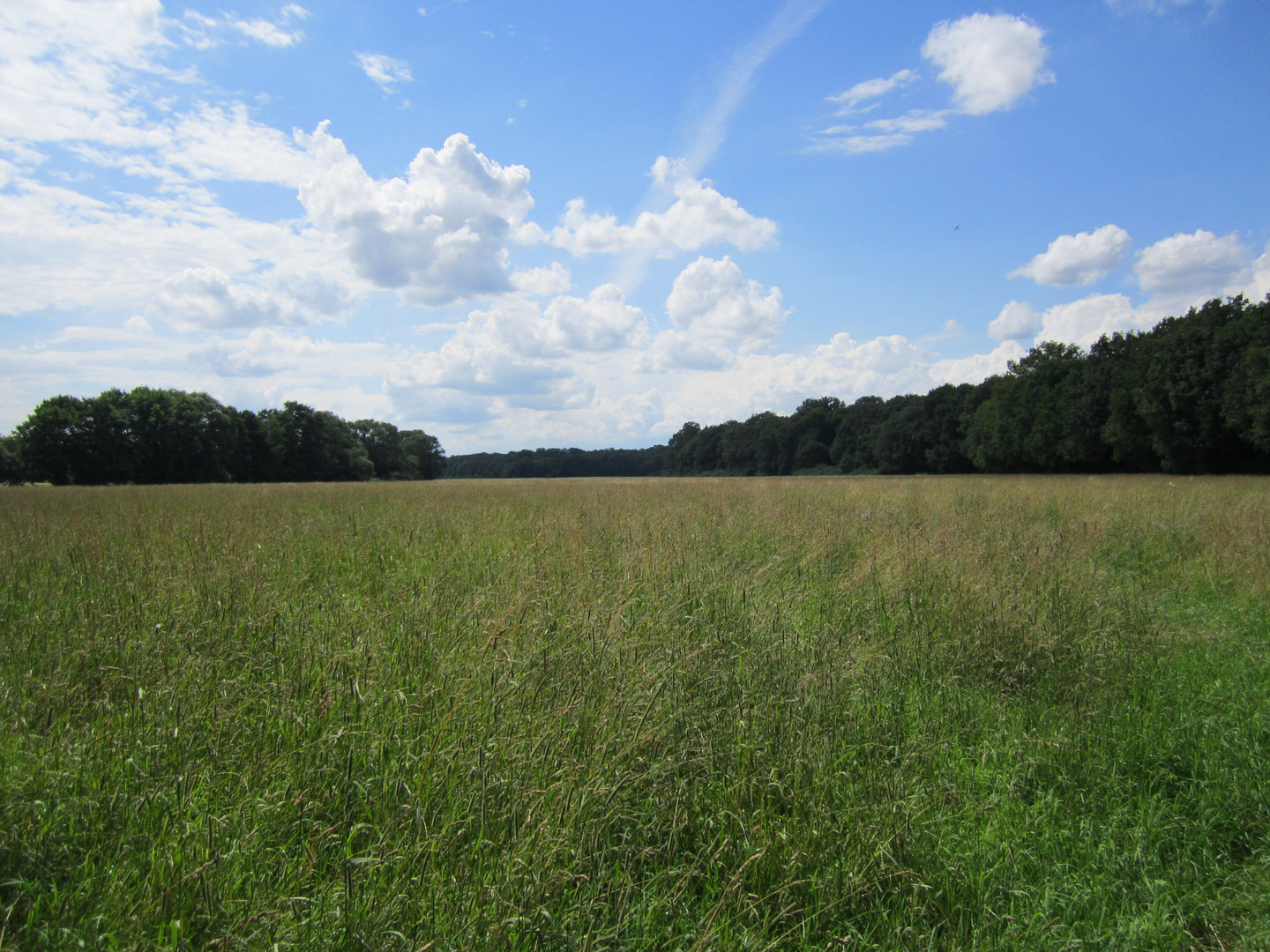 Field Foto & Bild | natur-kreativ, jungle, field Bilder auf fotocommunity