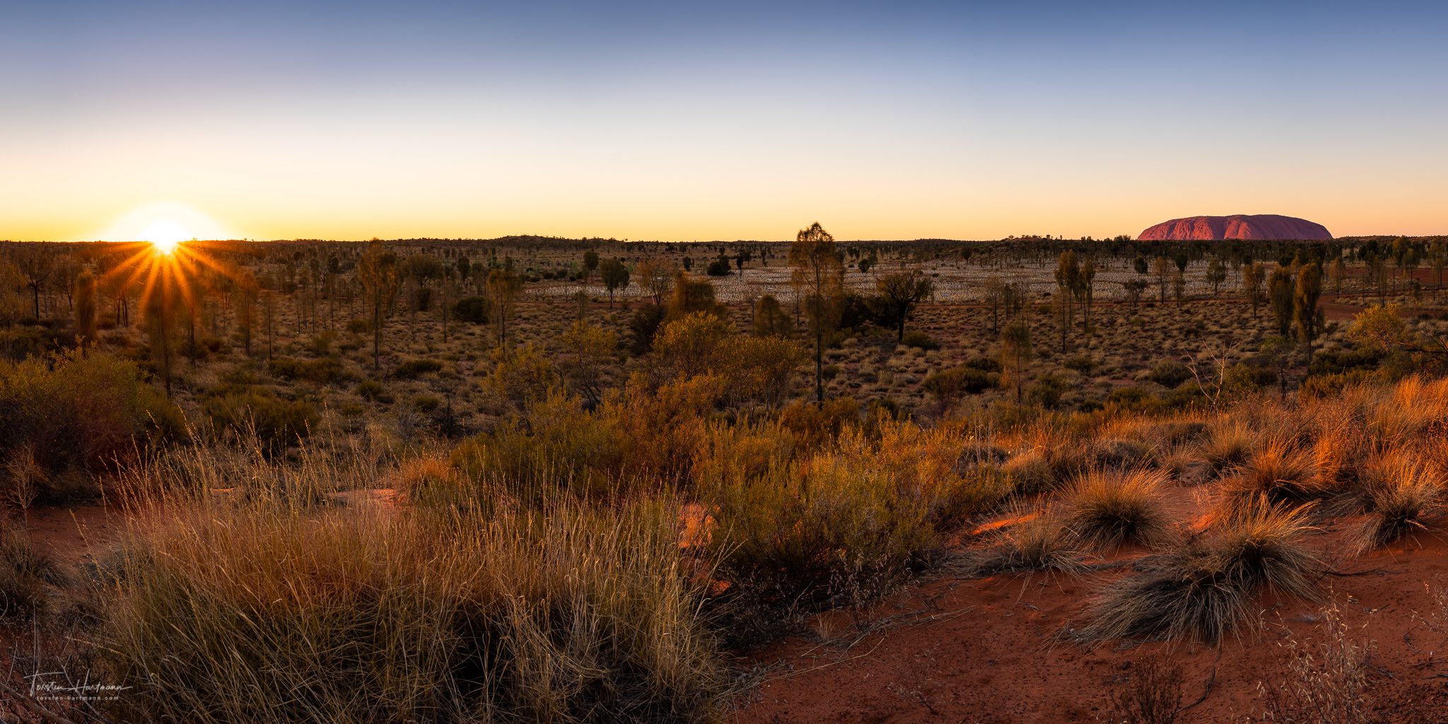Field of Light Uluru (Australia) Foto & Bild | australia & oceania ...