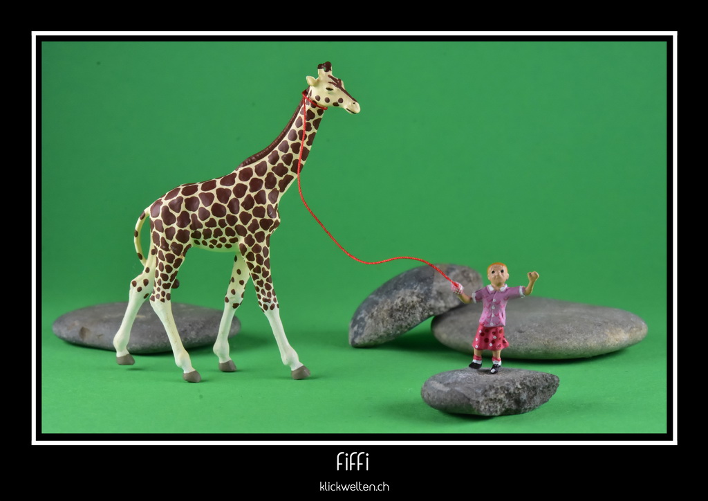 fiffi Foto & Bild | stillleben, tiere, haustiere Bilder auf fotocommunity