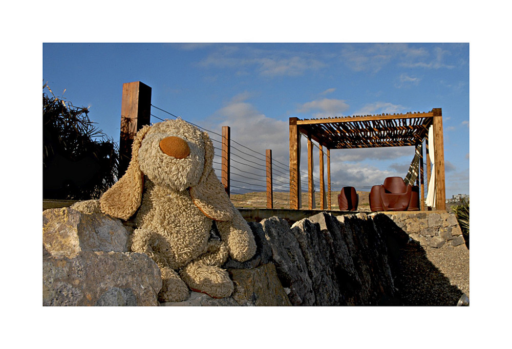 Fikki sagt: In der Ruhe liegt die Kraft! Foto & Bild | weltanschauung ...