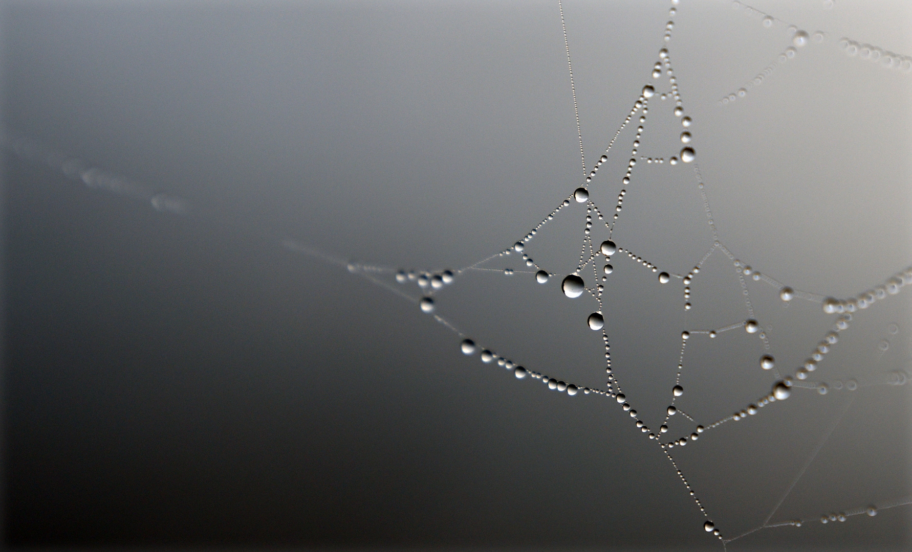 filigran Foto & Bild | natur-kreativ, regenfotos, wetter Bilder auf ...