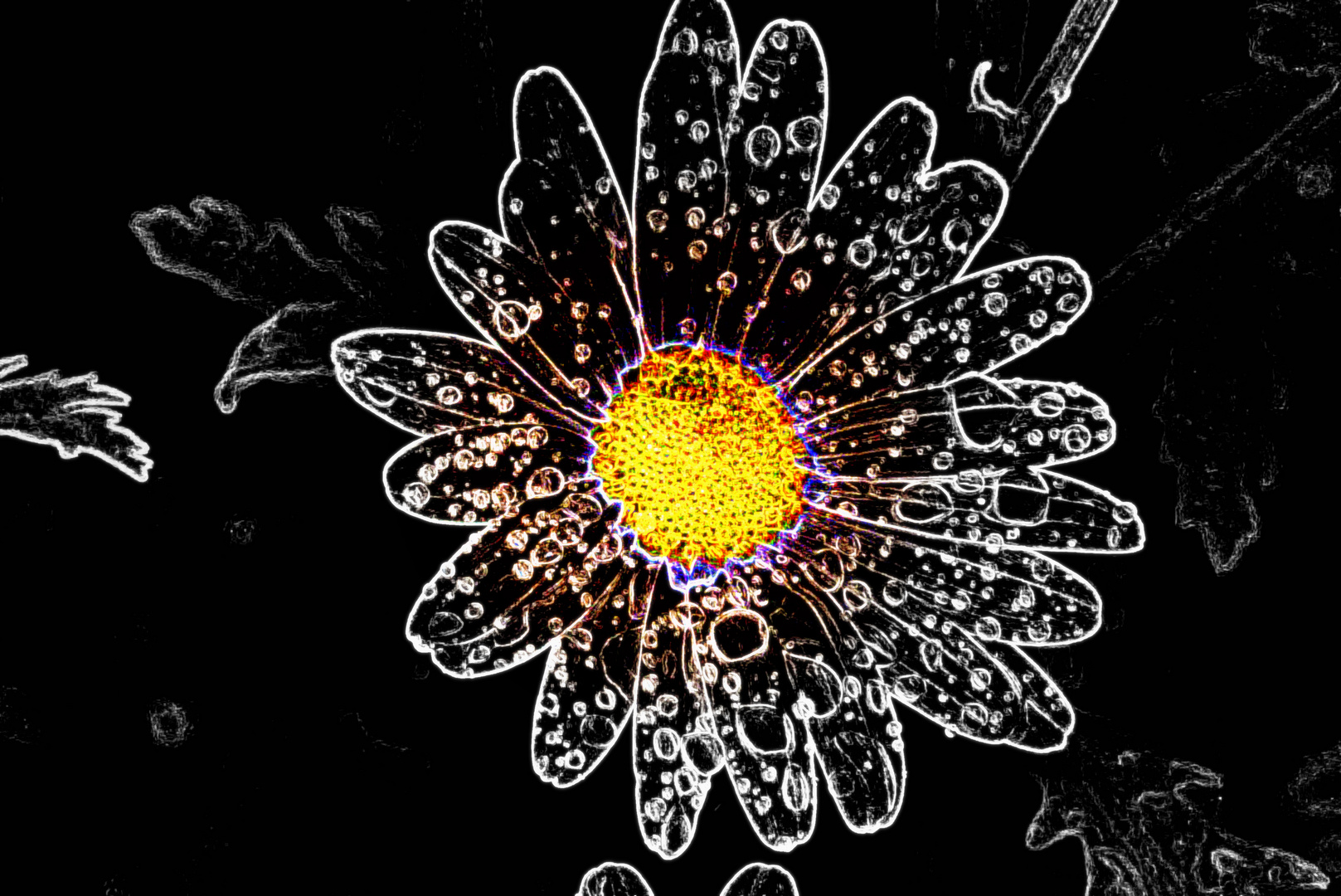 Filigran Foto & Bild | natur, digiart, pflanzen Bilder auf fotocommunity