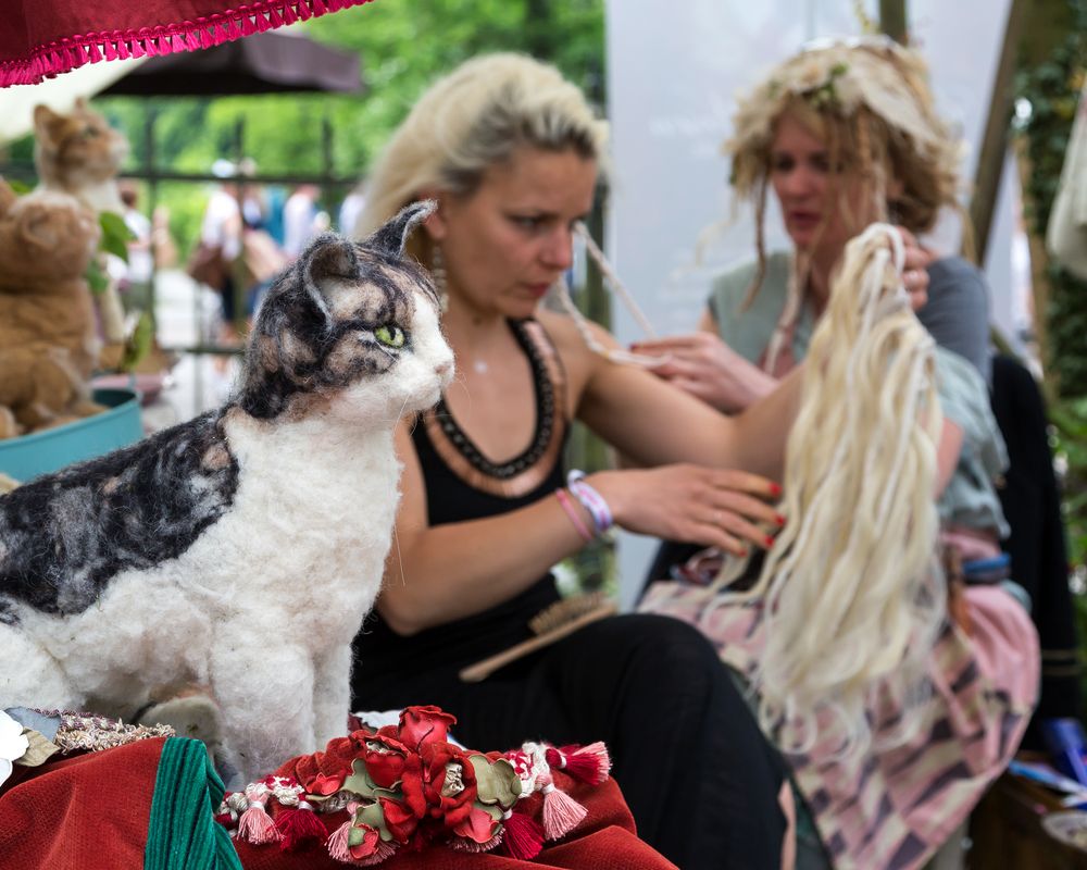 Filzläuse Foto & Bild | katzen, menschen, frauen Bilder auf fotocommunity