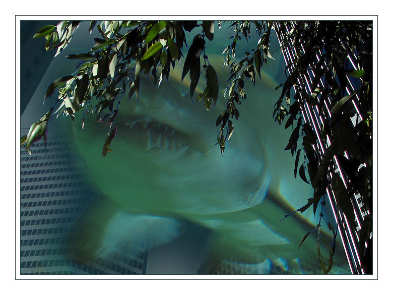 finanzhai Foto & Bild | fun-montagen, quatsch & fun, digiart Bilder auf fotocommunity