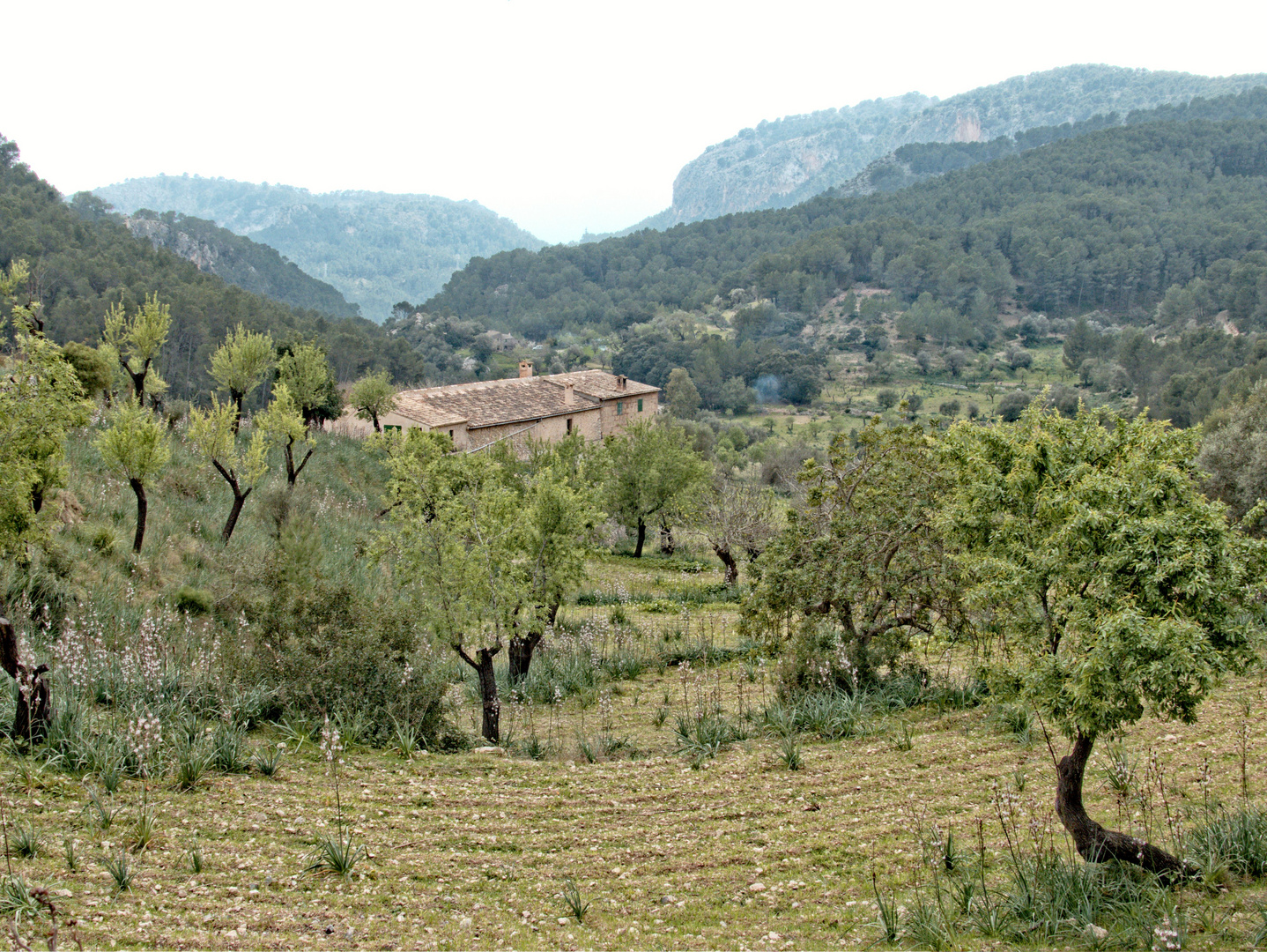 Finca Foto & Bild | landschaften, mallorca, spanien Bilder auf ...