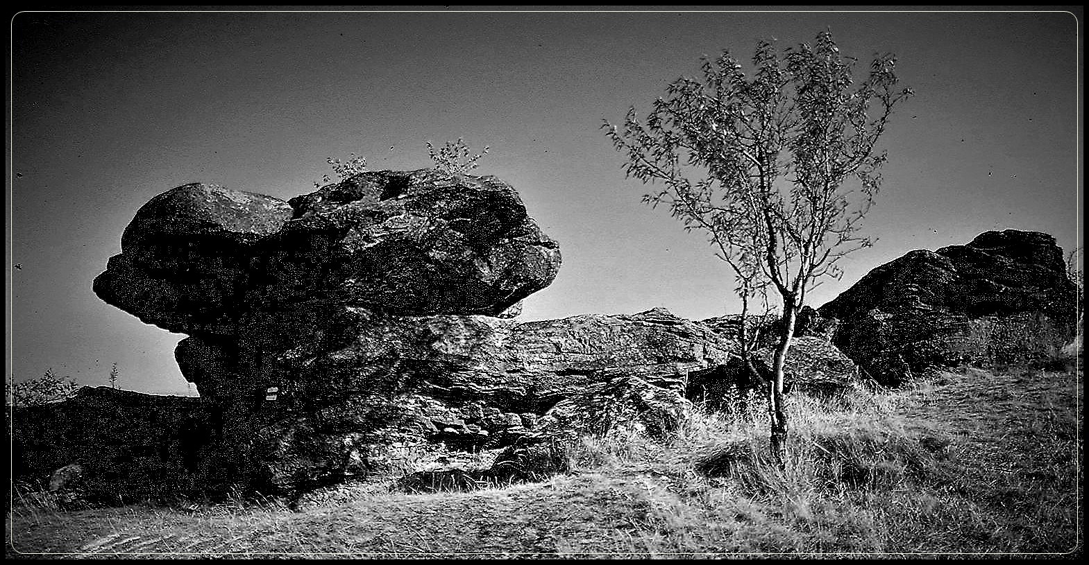 findling Foto & Bild | sonstiges, steine & mineralien, natur-kreativ ...