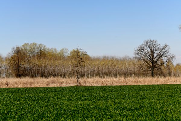 Campagna Immagini e foto