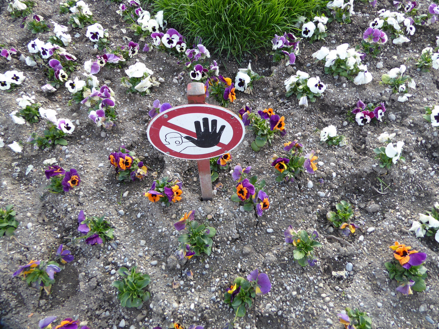 Finger weg! Foto & Bild | spezial, dokumentation, natur Bilder auf ...