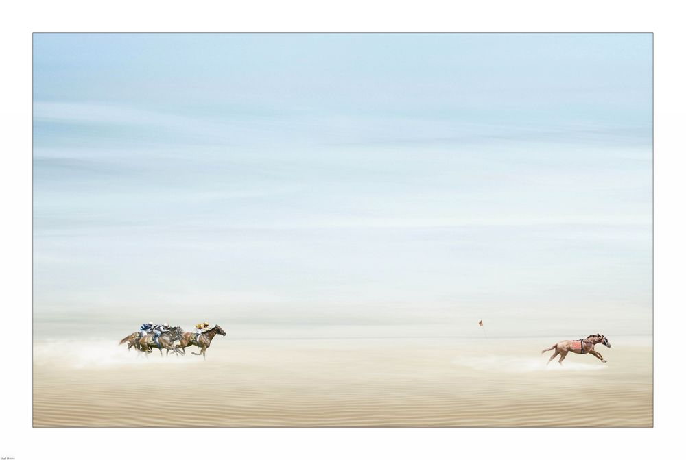 Finish,..............»Ich habe fertig!« Foto & Bild | spezial ...