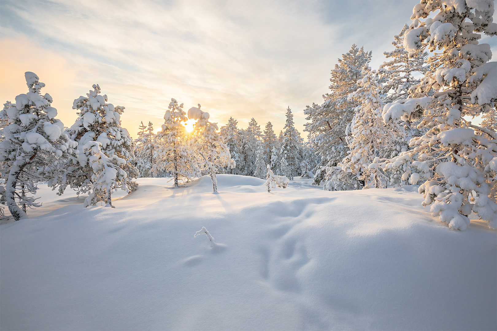 Finnish Winter Foto & Bild | monatswettbewerbe natur, 2020, 01 natur ...