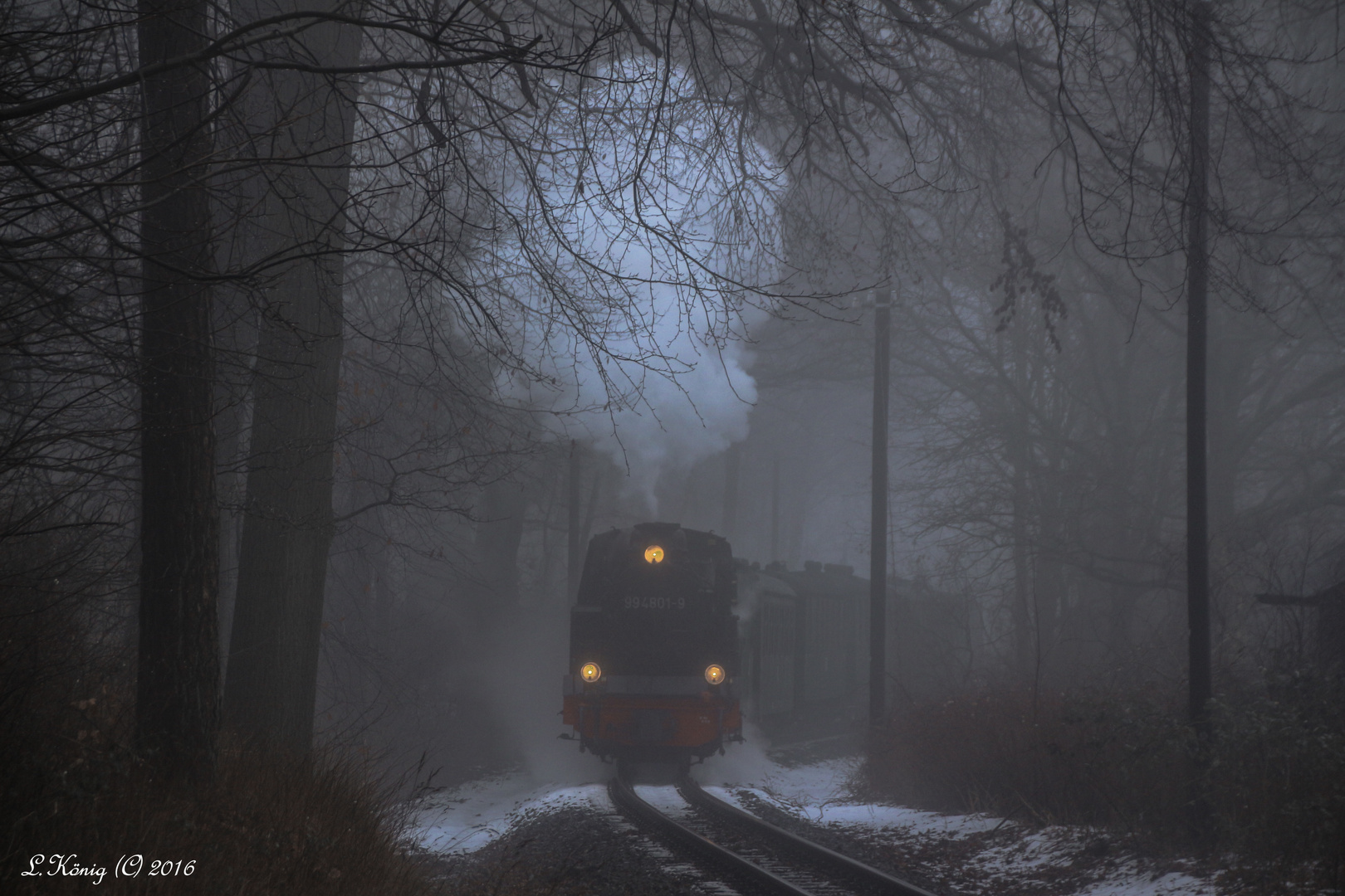 Finsterwald Foto & Bild | eisenbahn/fahrzeuge, wald, januar Bilder auf ...