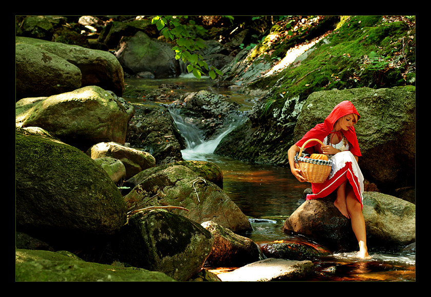 Finsterwald Foto & Bild | märchenbilder, specials, spezial Bilder auf ...