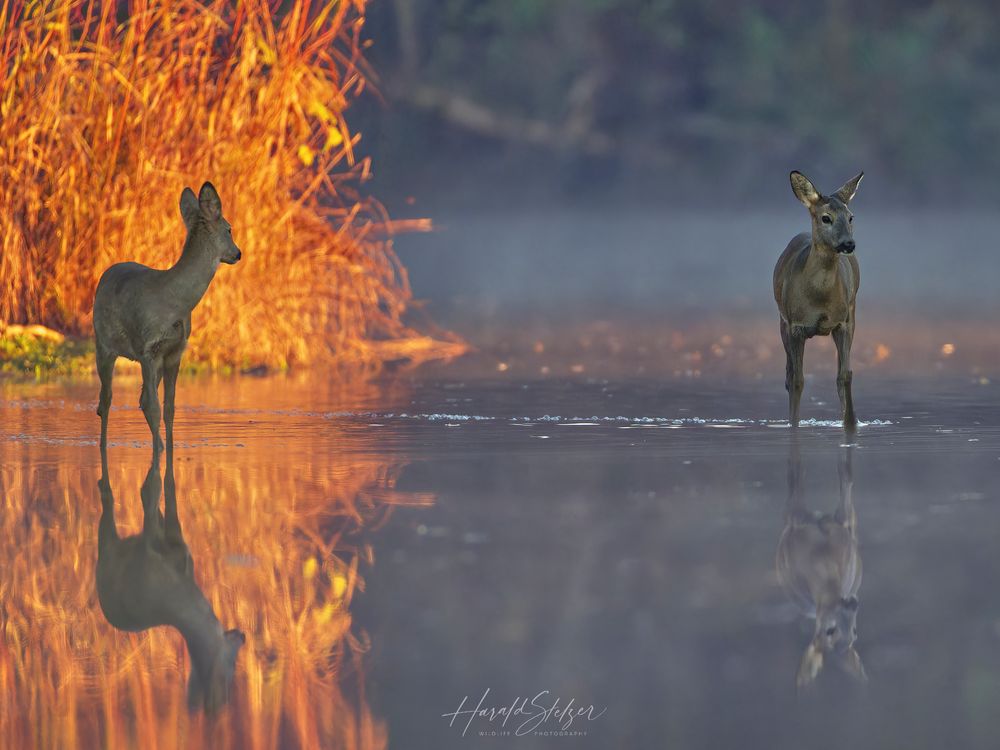 Fire and Water Foto & Bild | fotos, wasser, natur Bilder auf fotocommunity