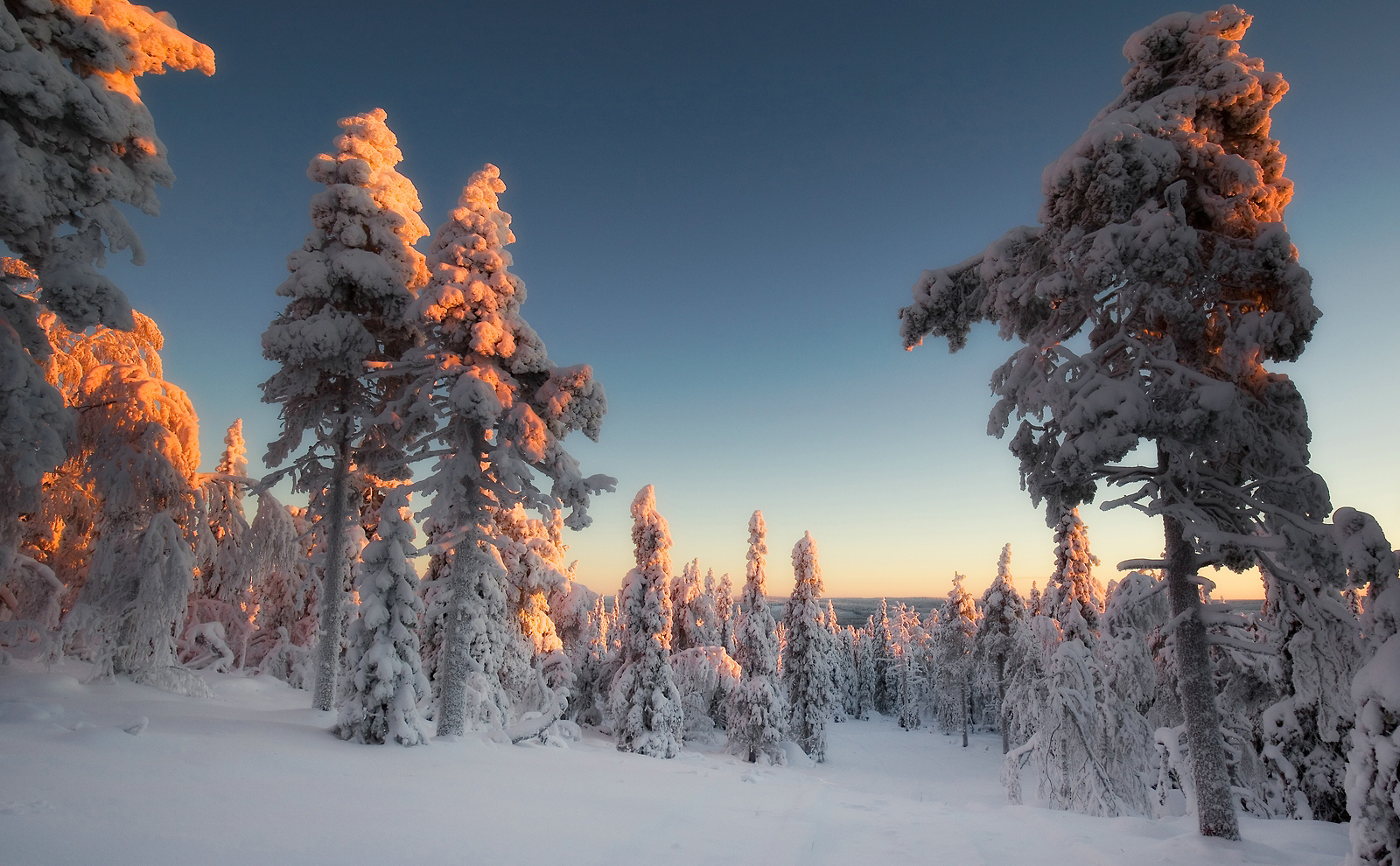 Fire & Snow Foto & Bild | europe, scandinavia, finland Bilder auf ...