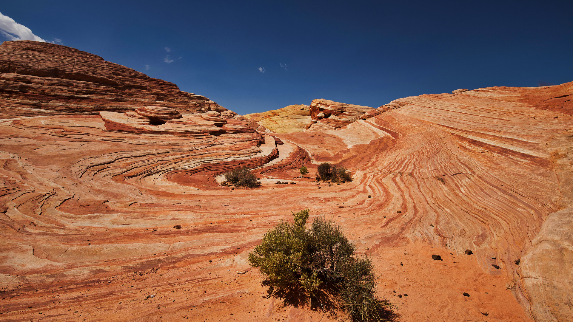 Fire Wave Foto & Bild | north america, united states, nevada Bilder auf ...