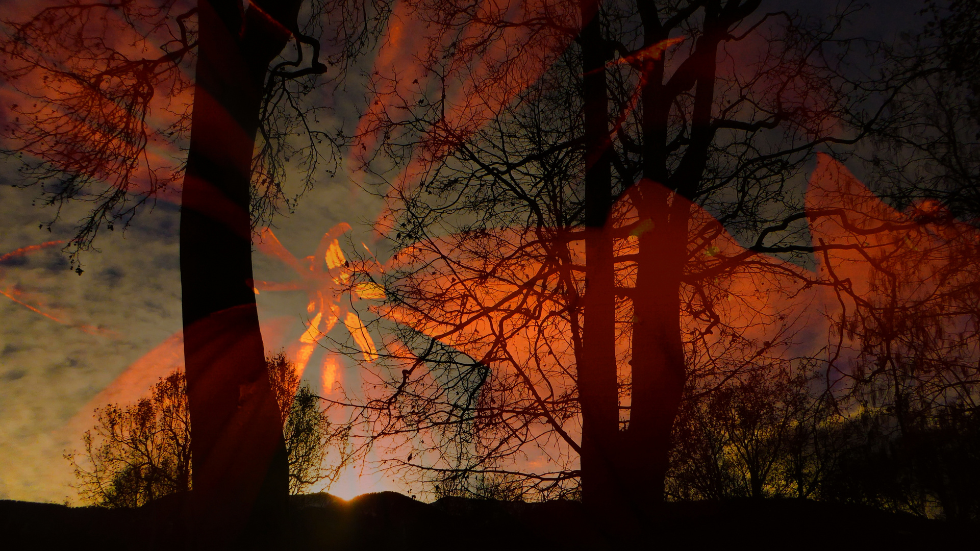 *firework*of*emotions* Foto & Bild | silvester, spezial, licht Bilder ...