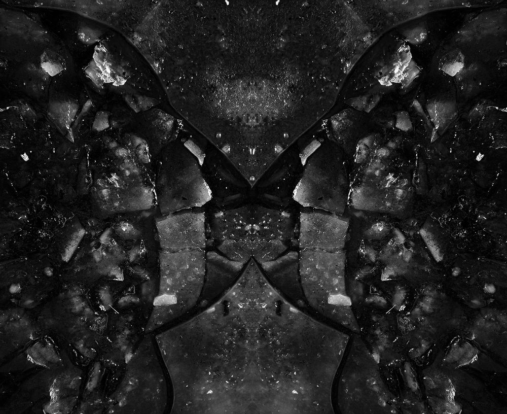 First contact Foto & Bild | bearbeitungs - techniken, filtertechniken, kunstfotografie 2024 ...