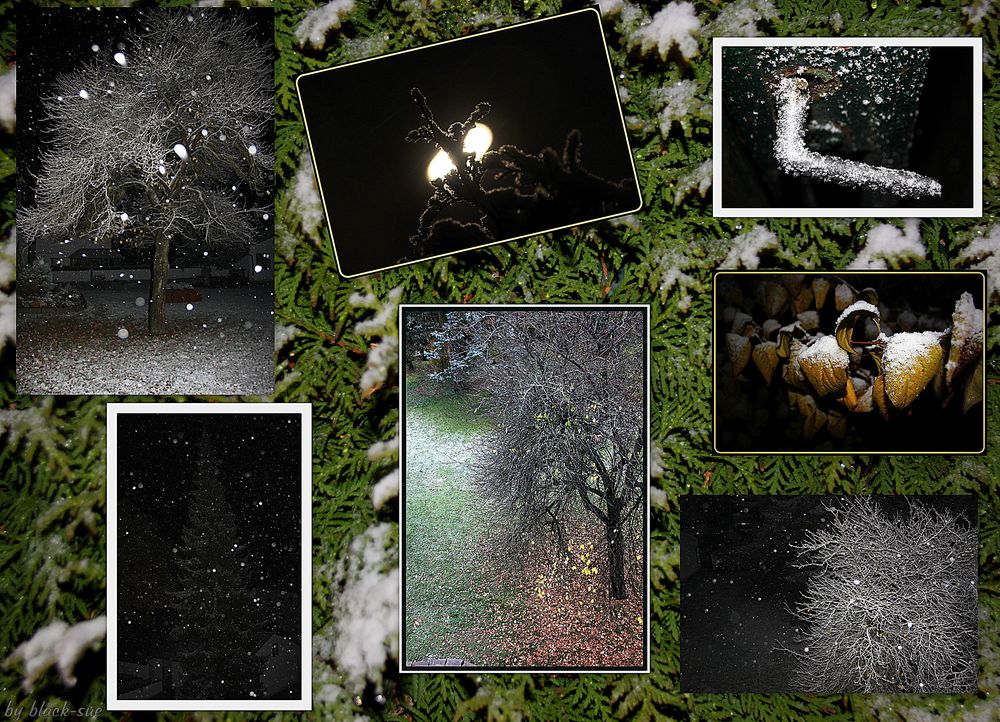 first snow at october Foto & Bild | jahreszeiten, herbst, winter Bilder ...