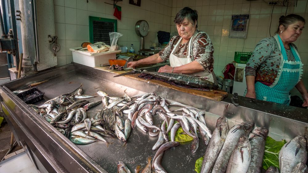 Fisch Foto & Bild | europe, portugal, norte Bilder auf fotocommunity