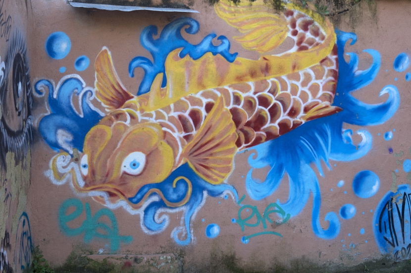 ~ Fisch ~ Foto & Bild | europe, portugal, streetart, graffiti & tags ...