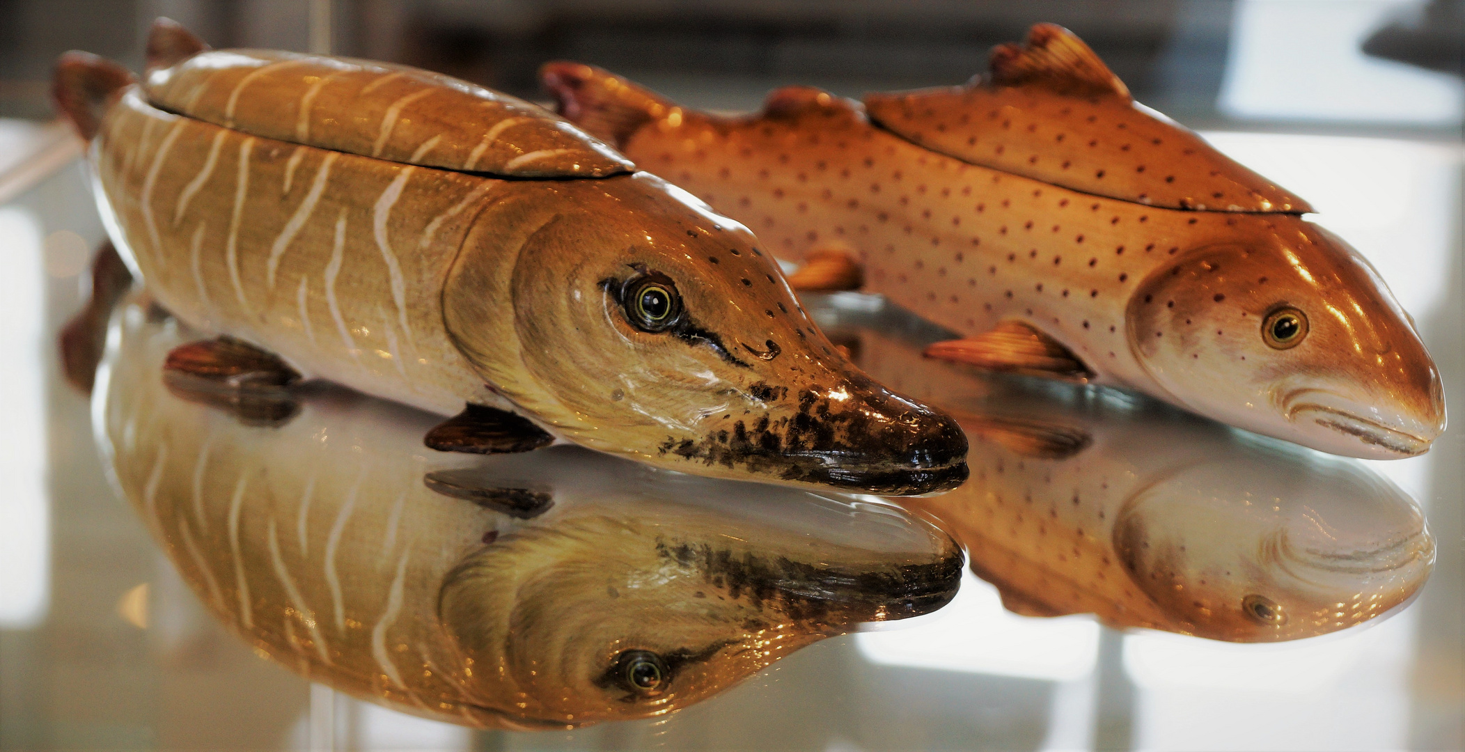 Fisch... Foto & Bild | stillleben, food-fotografie, kunstfotografie ...