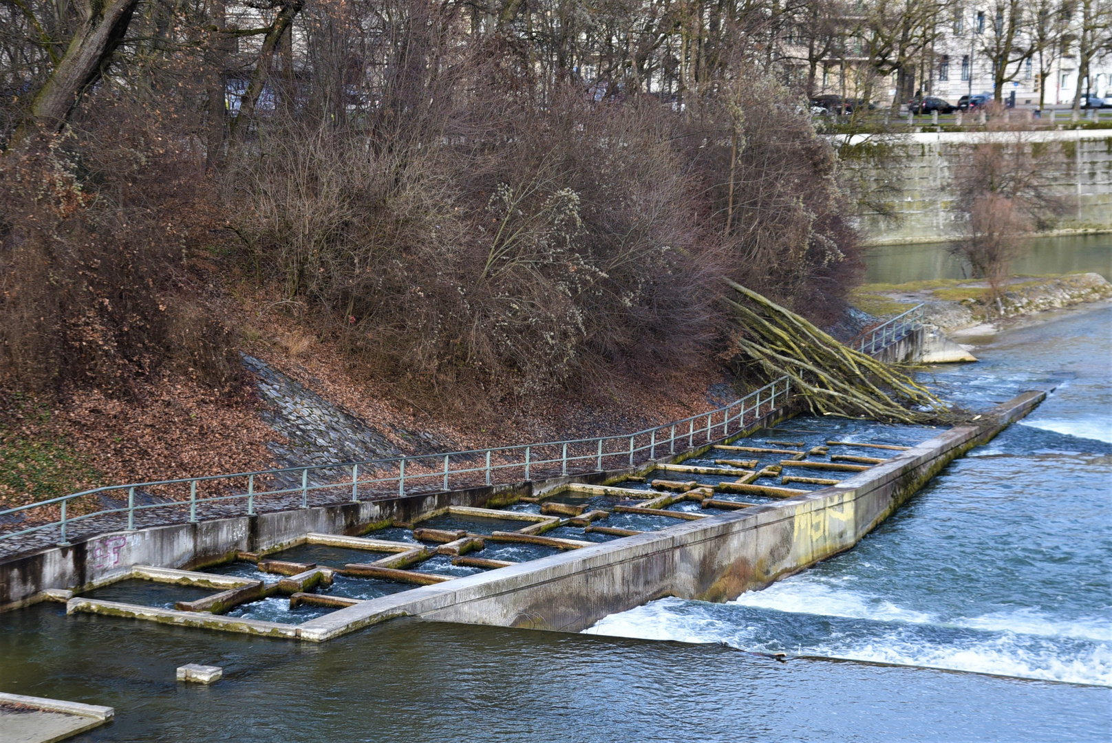 Fisch-Rampe für die Fischtreppe Foto & Bild | quatsch, fun und ...