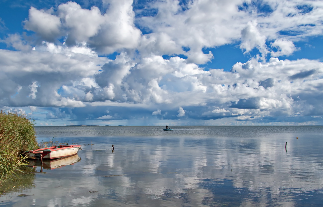 Fischen Foto & Bild | himmel, schilf, natur Bilder auf fotocommunity