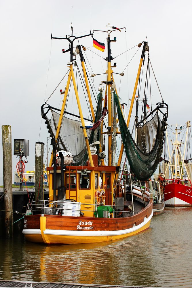 Fischerboot im Hafen Foto & Bild | deutschland, europe, niedersachsen ...