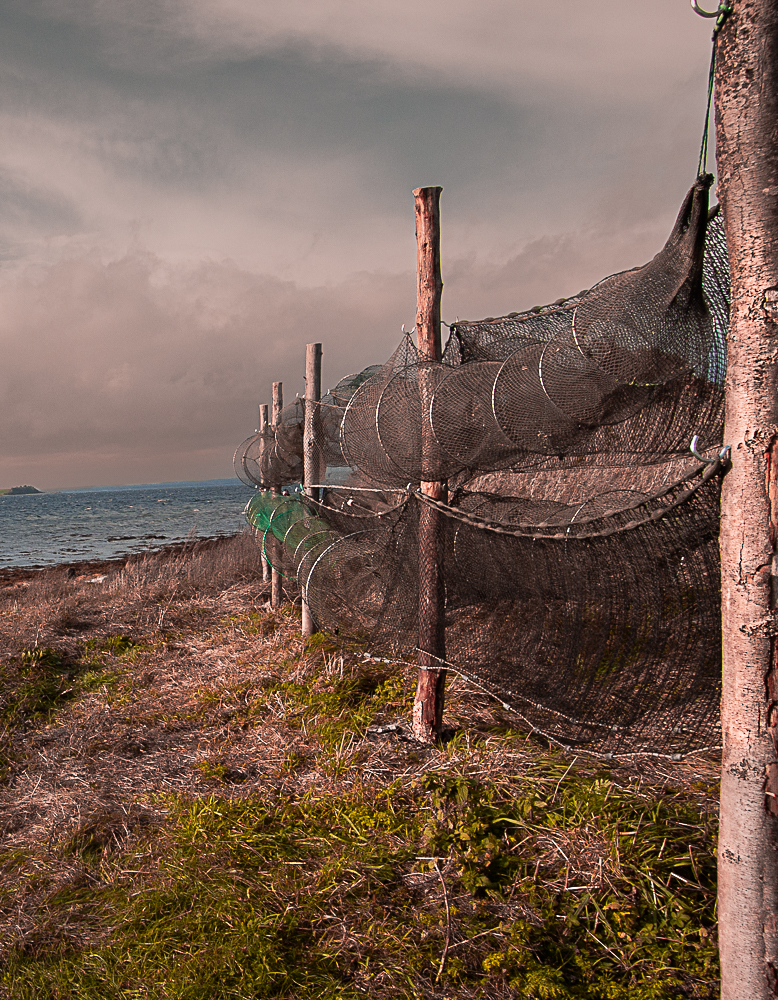 Fischernetz Foto & Bild | landschaft, natur, fischernetz Bilder auf ...
