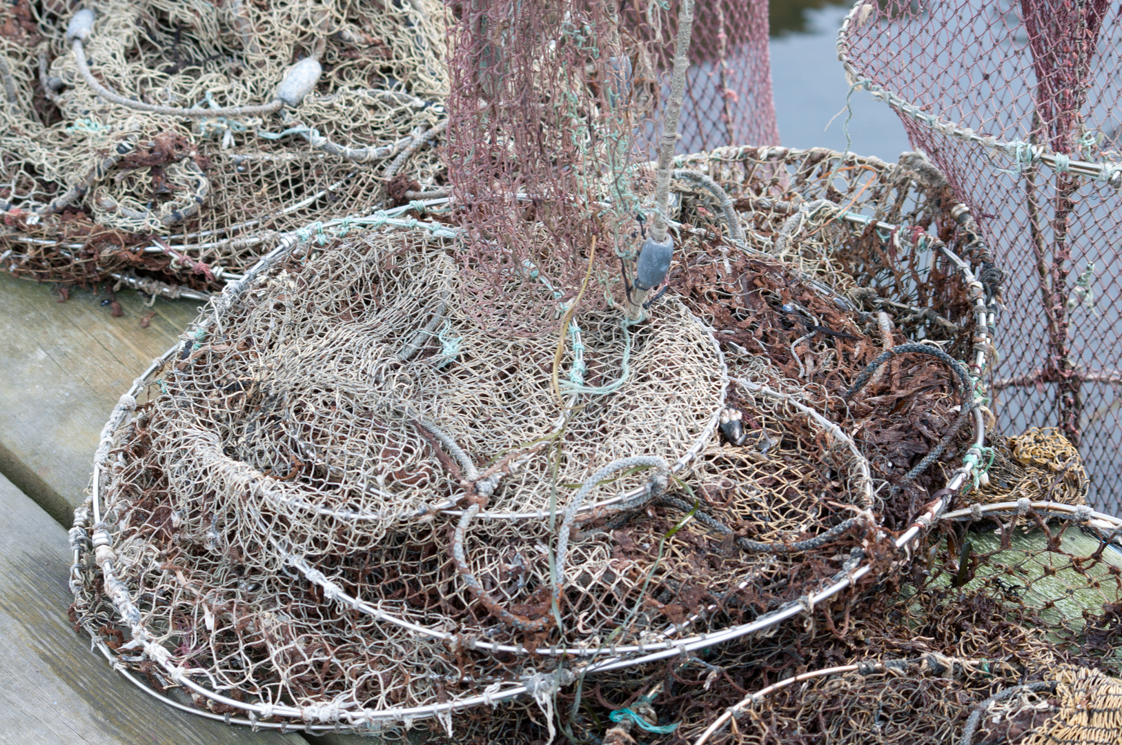 Fischernetz Foto & Bild | architektur, profanbauten, hafen Bilder auf ...