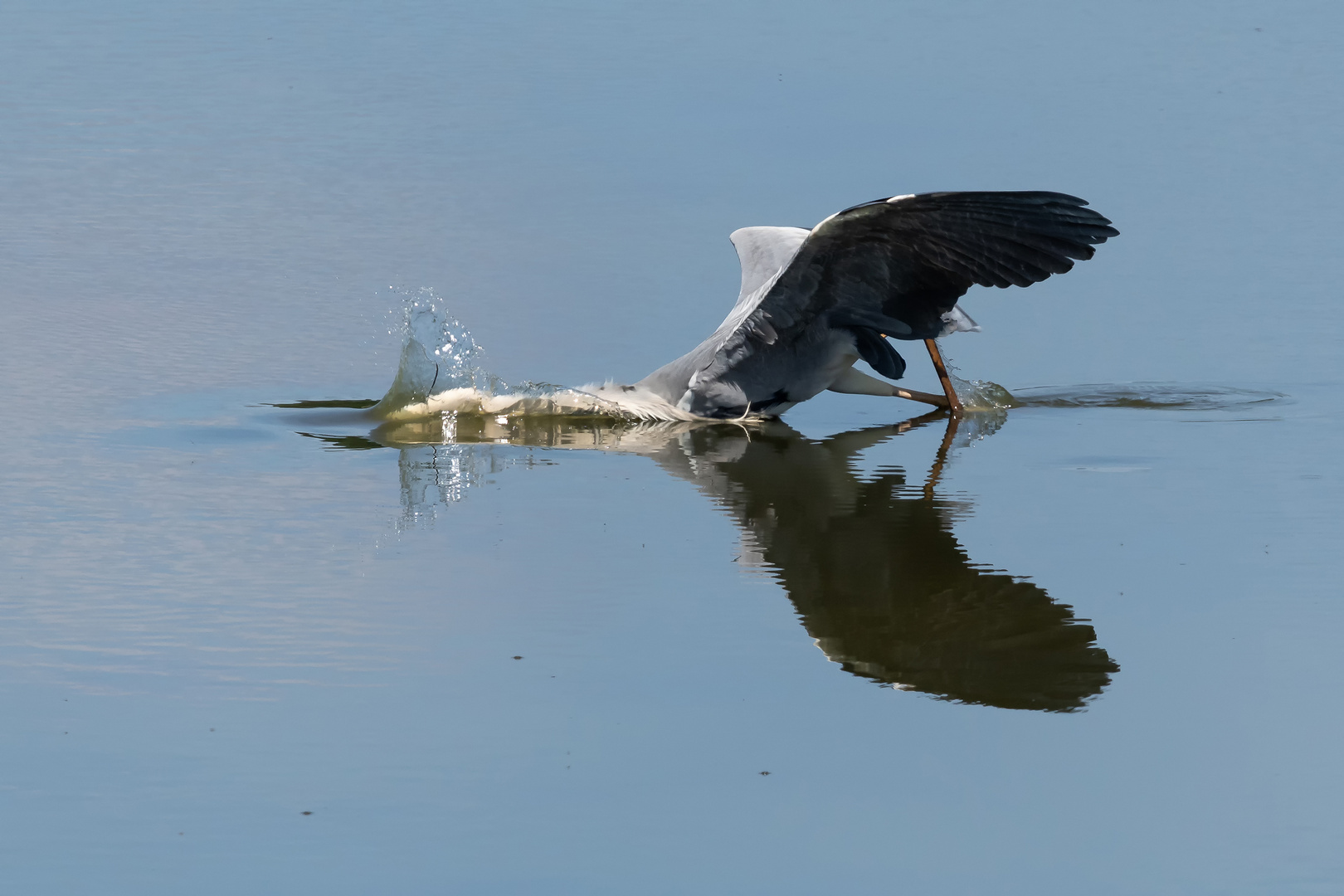 Fischfang 2 Foto & Bild | deutschland, europe, brandenburg Bilder auf ...