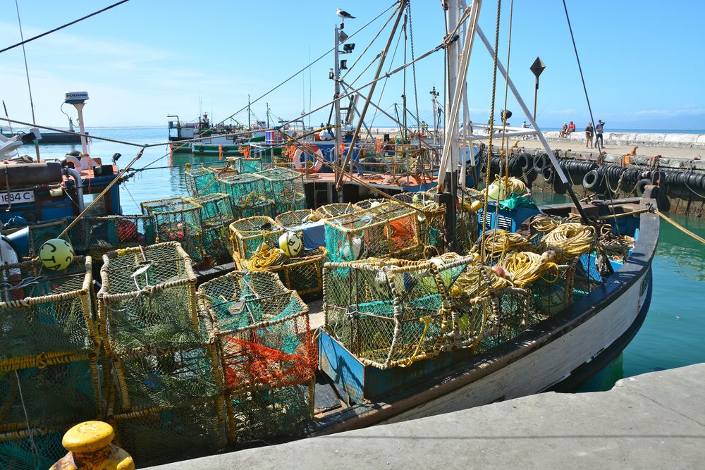 Fischfang Foto & Bild | reportage dokumentation, street, dokumentation ...