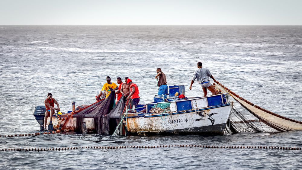 Fischfang - ein Knochenjob Foto & Bild | erwachsene, africa, western ...