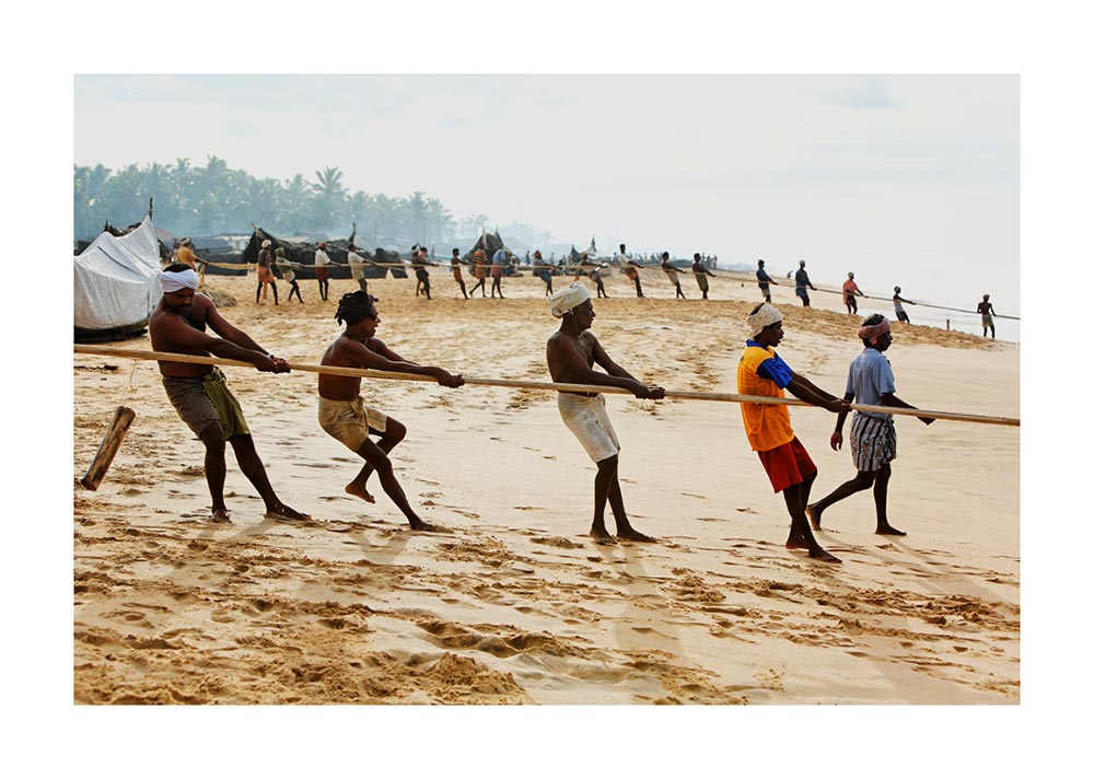 Fischfang in Kerala Foto & Bild | erwachsene, menschen bei der arbeit ...