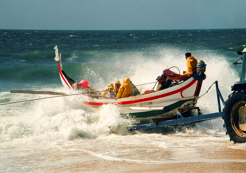 Fischfang in Portugal Foto & Bild | die elemente, natur Bilder auf ...