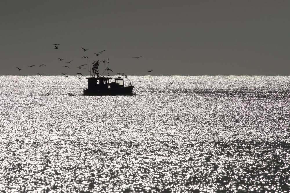 Fischkutter Foto & Bild | schiffe und seewege, monochrom, bearbeitungs - techniken Bilder auf ...