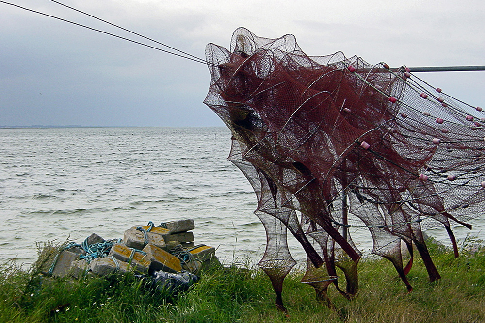 Fischreusen Foto & Bild | landschaft, meer & strand, haff & bodden ...